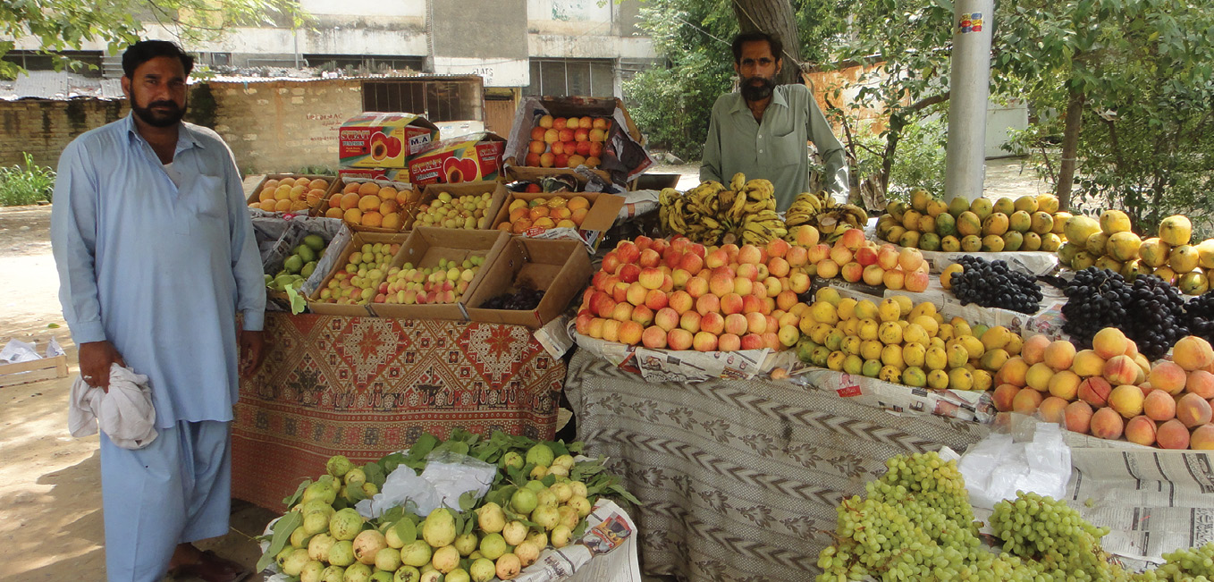 Modernising horticulture inspires legislative change in Pakistan