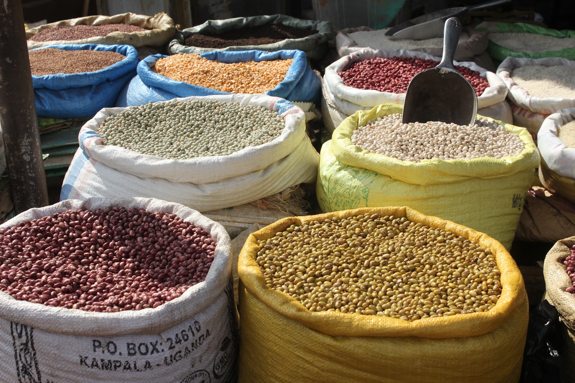 ACIAR - Australian Centre for International Agricultural Research