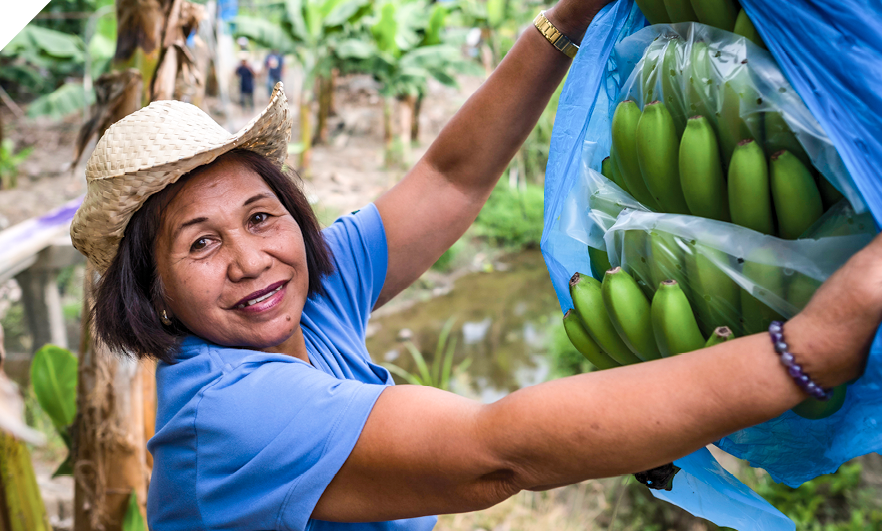 Safe and secure food productions systems | ACIAR