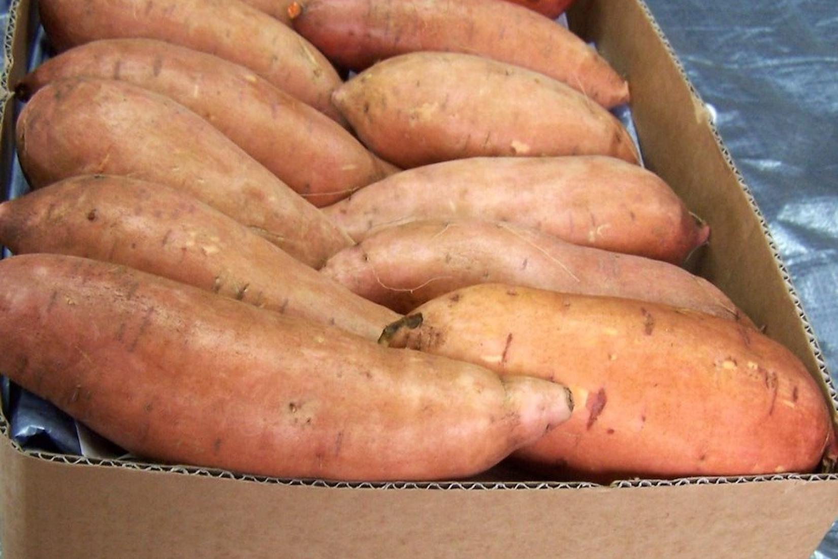 A collaborative approach to improving sweet potato production and ...