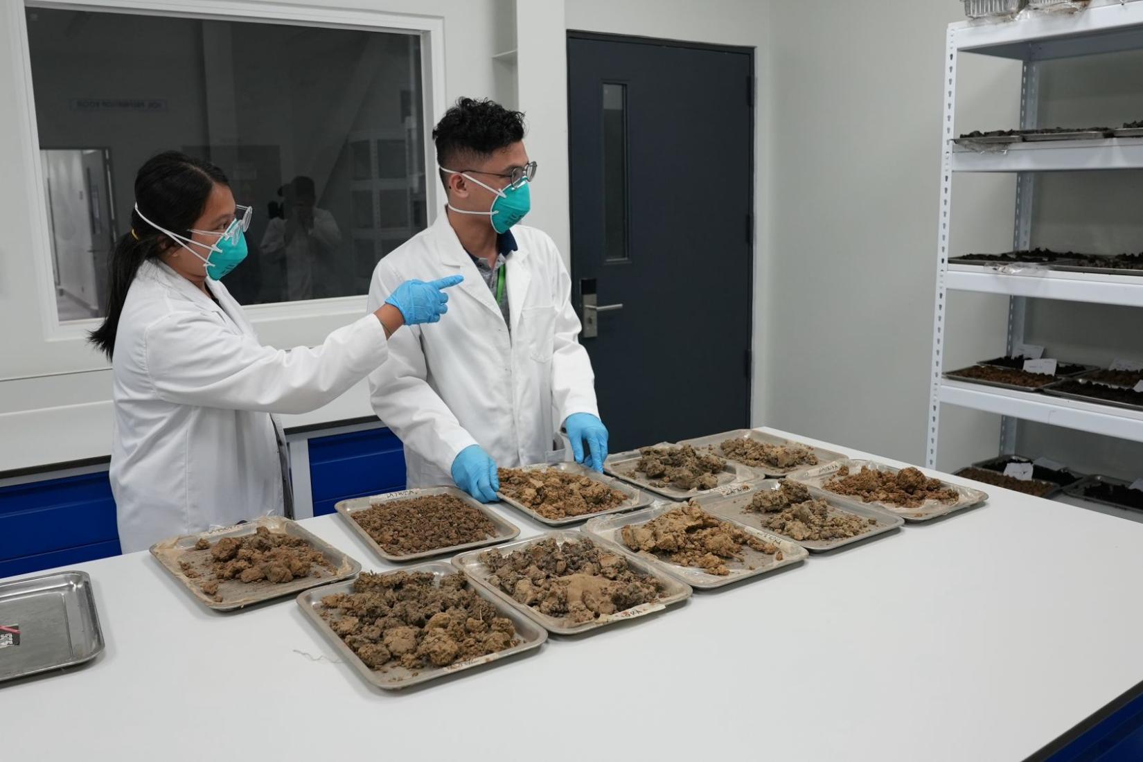 Mapping soils for success – how soil insights are reviving Philippine ...