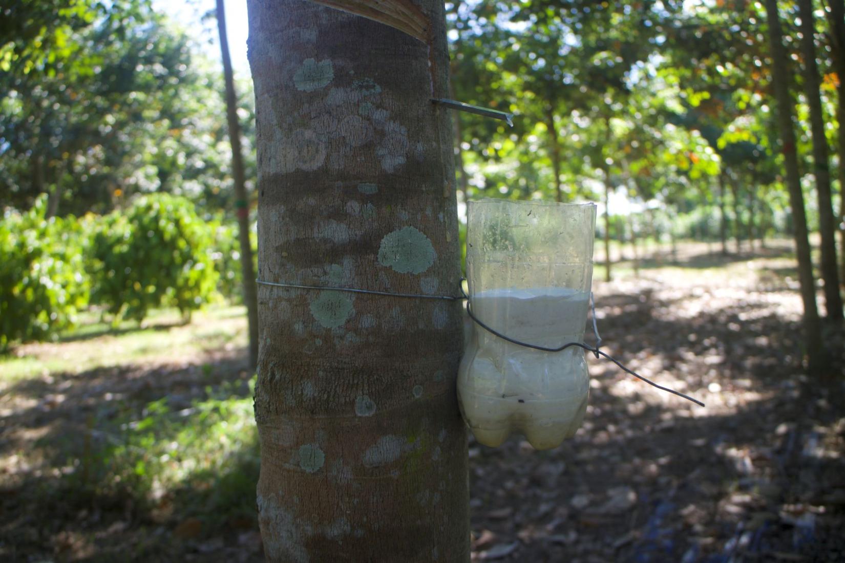 Mapping soils for success – how soil insights are reviving Philippine ...
