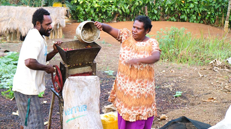 Mitigating gender-based violence risk in international agricultural ...