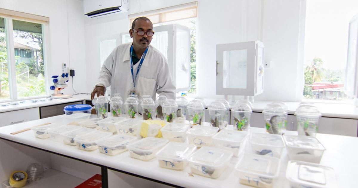 New biosecurity lab boosts Pacific research capacity | ACIAR