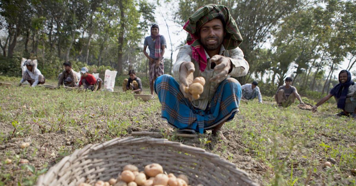 Secrets to advancing rural lives target of new project | ACIAR