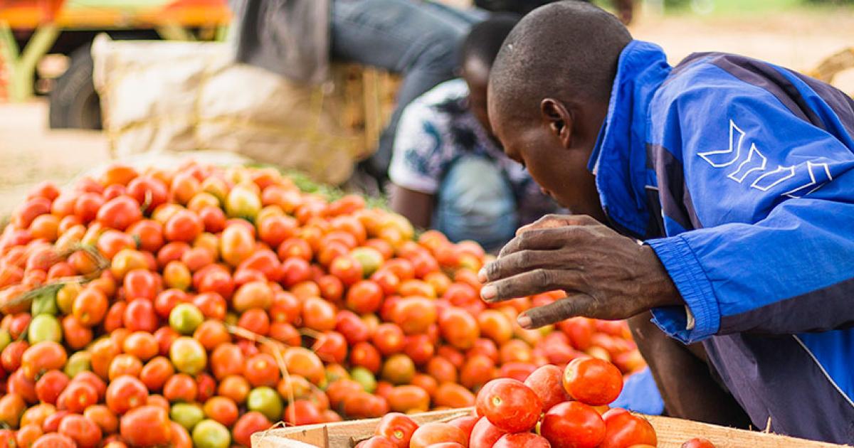 Food Loss Research Program | ACIAR