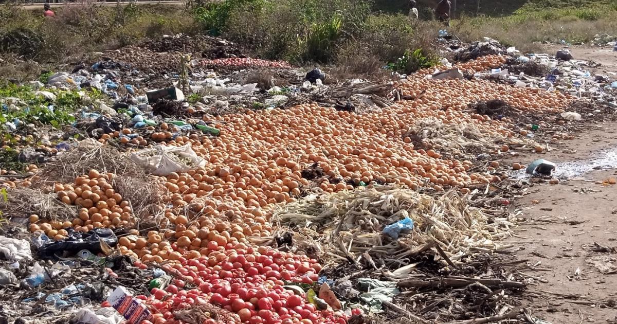 Managing Food Value Chains for Improved Nutrition for Urban Vulnerable ...