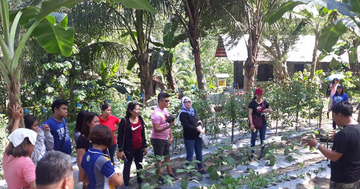 Landcare - an agricultural extension and community development model at ...