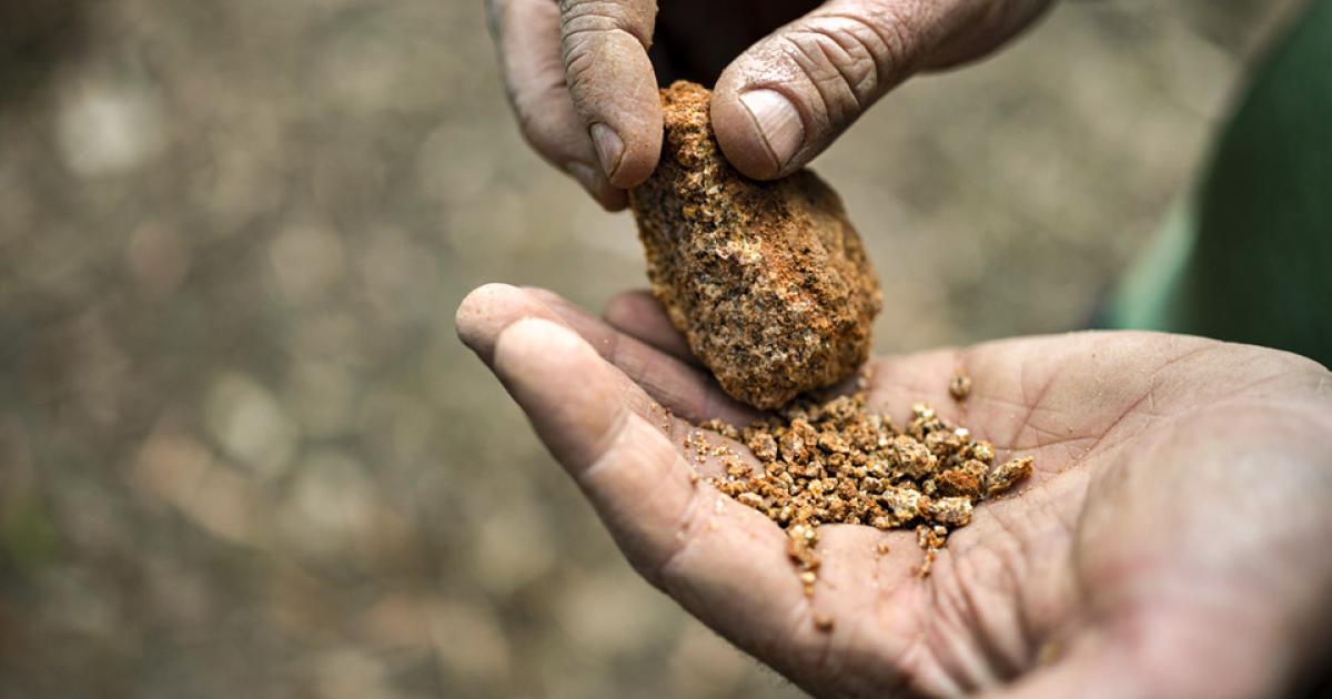 Embedding knowledge and exploring future research opportunities in ...