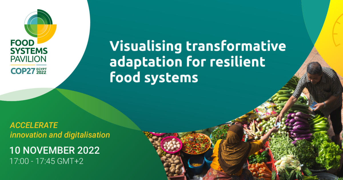 Visualising transformative adaptation for resilient food systems | ACIAR