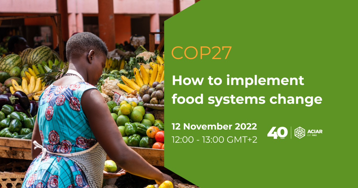 How to implement food systems change | ACIAR