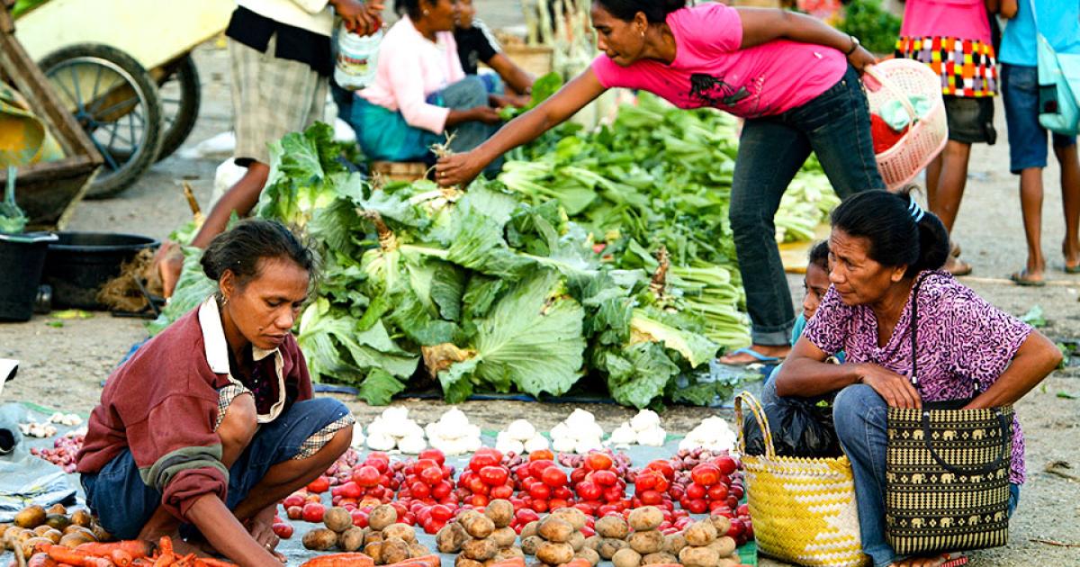 Agricultural innovations for communities - intensified and diverse ...