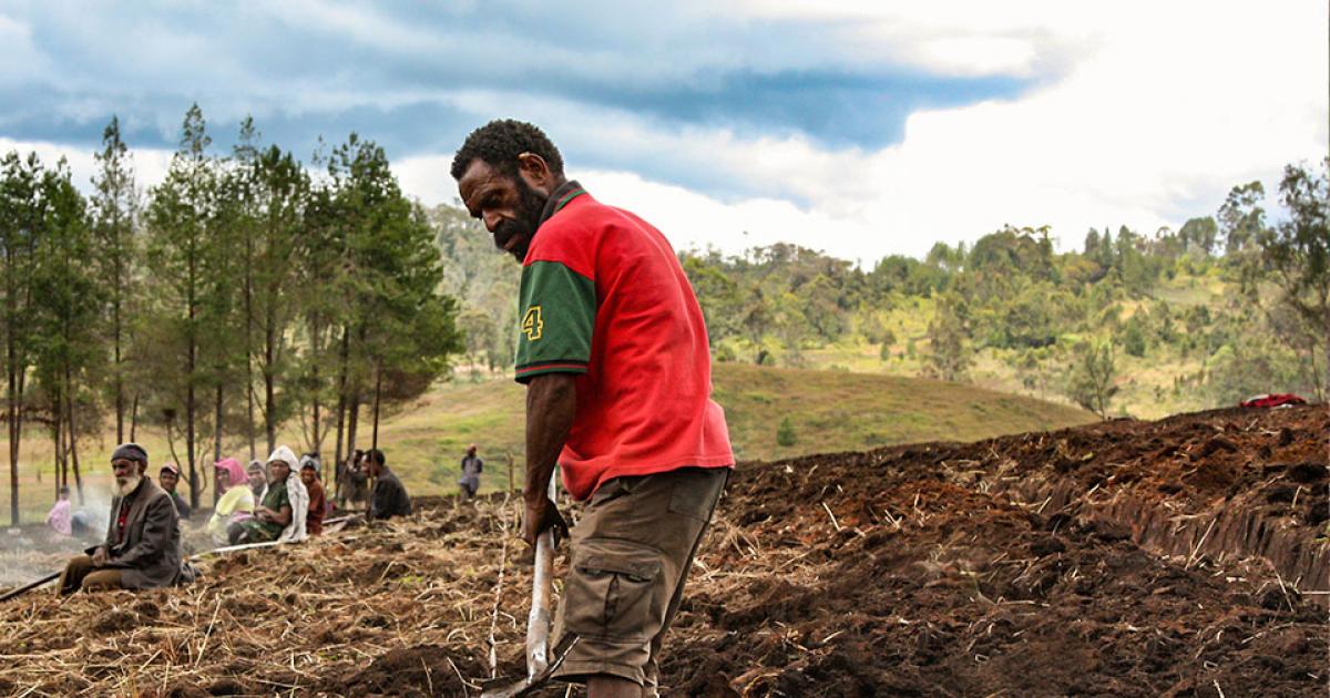 Better soil and land information for improving PNG’s agricultural ...