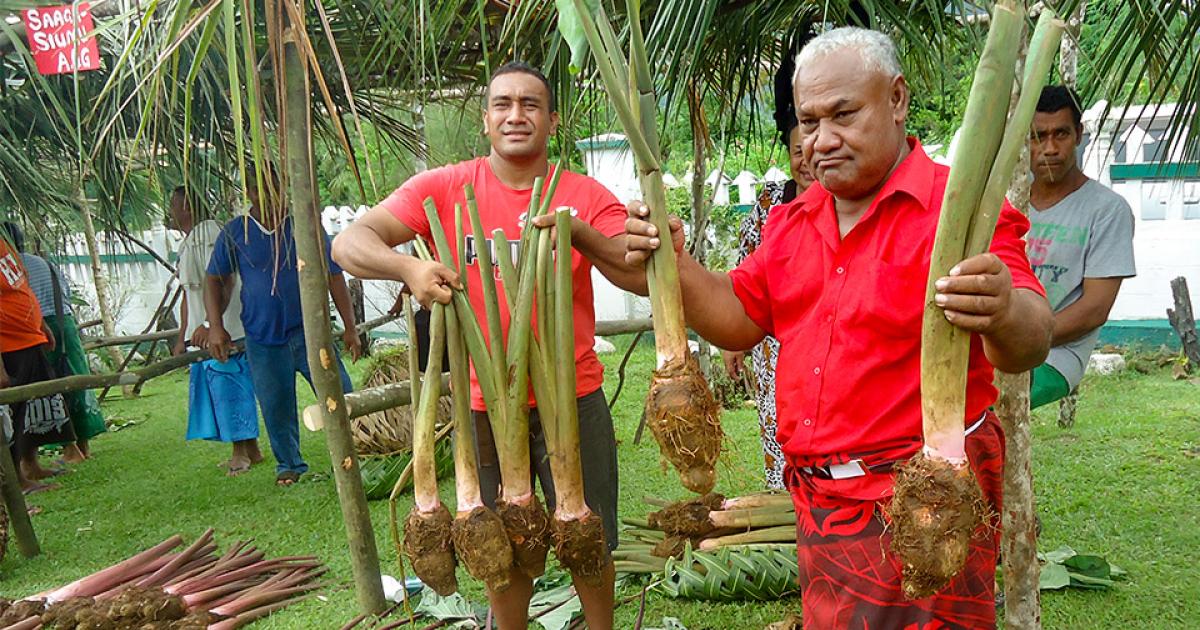 Sustainable agricultural intensification systems for climate resilient ...