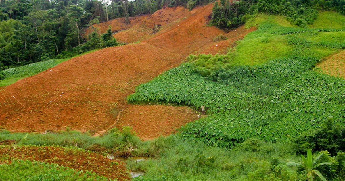 Soil management in Pacific Islands: investigating nutrient dynamics and ...