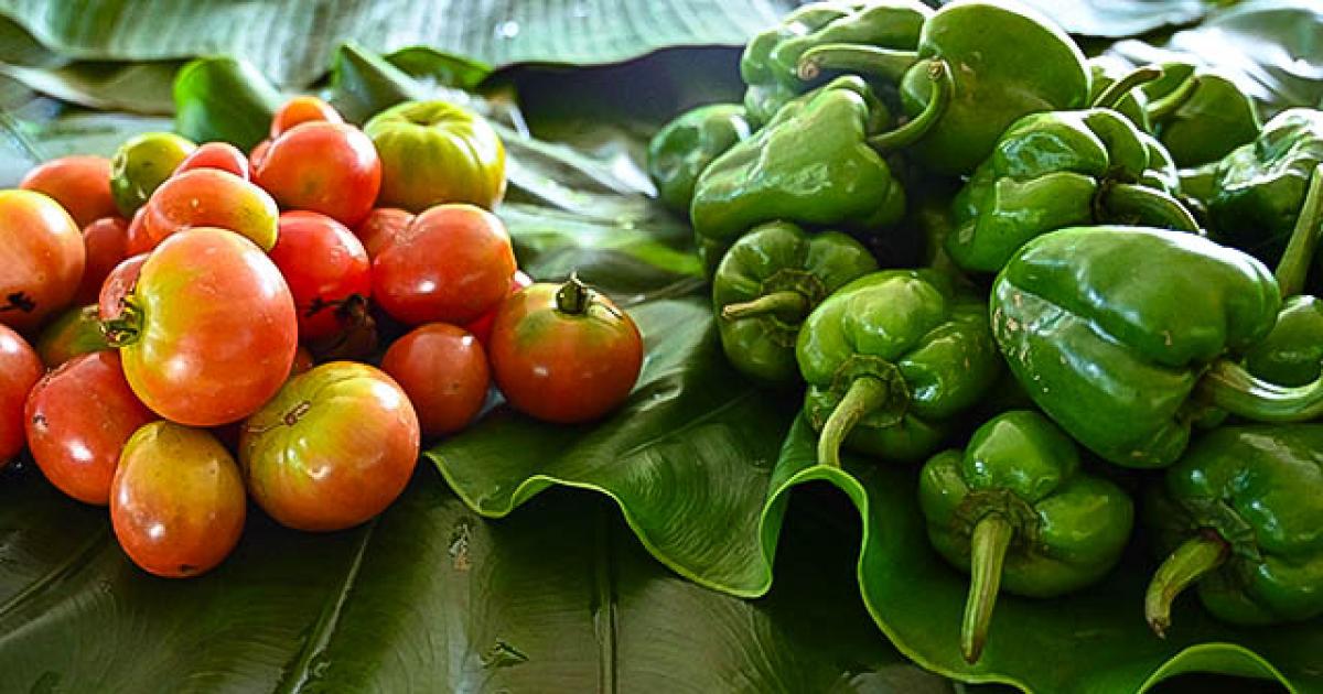 PIC more veg: Driving vegetable food environments to promote healthy ...