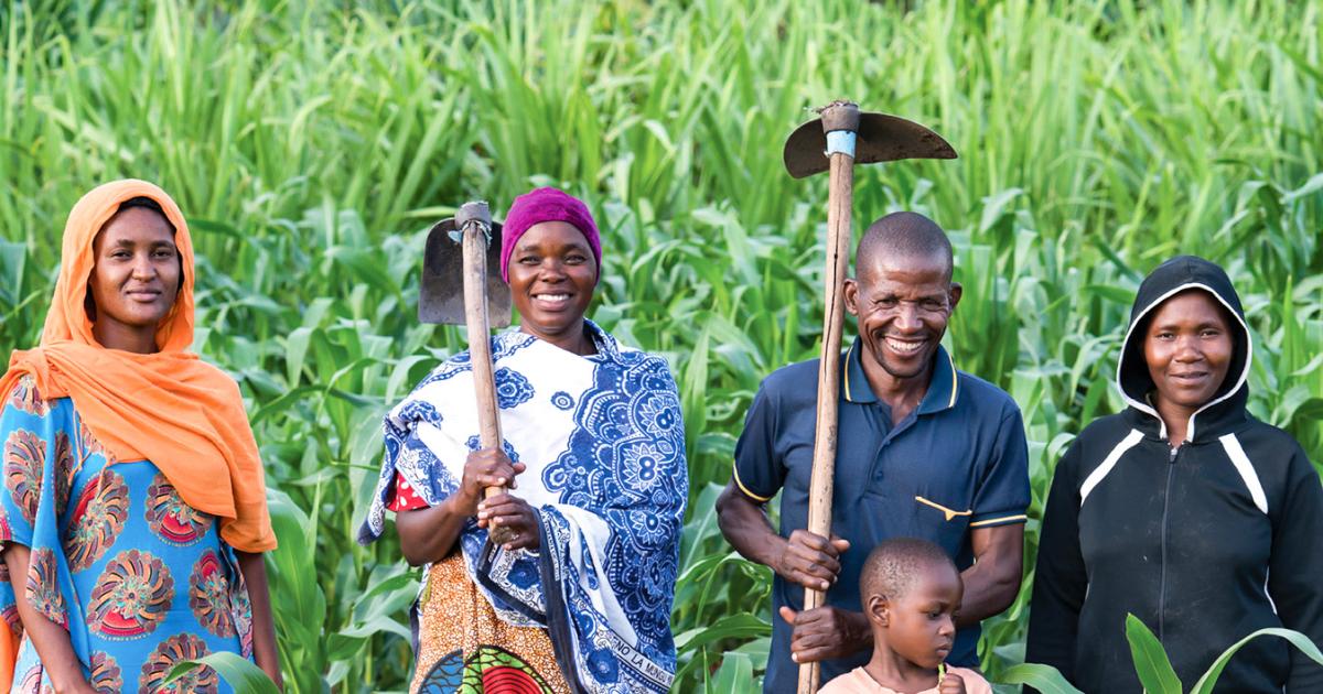 Global partnerships for strategic outcomes | ACIAR