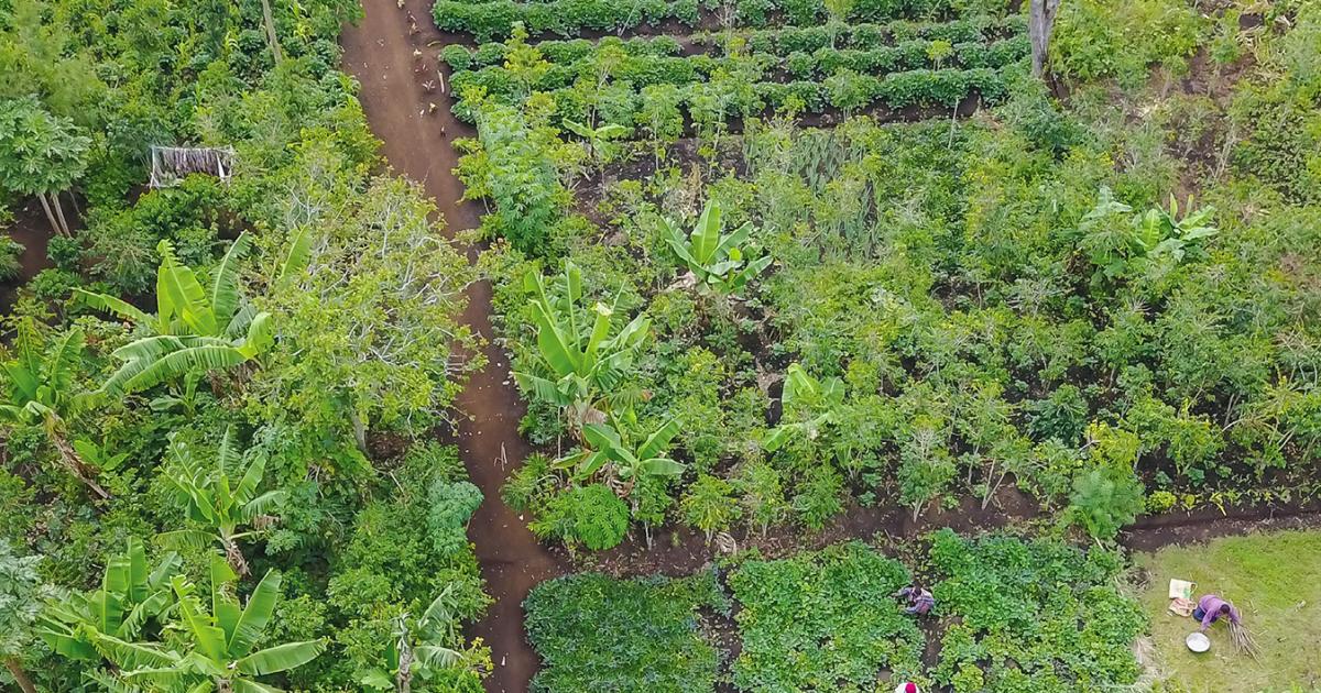 Team Australia working together for scale and impact | ACIAR