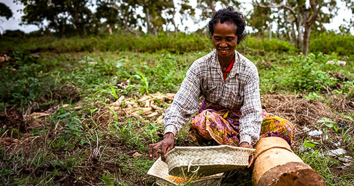 Indigenous food systems knowledge exchange | ACIAR