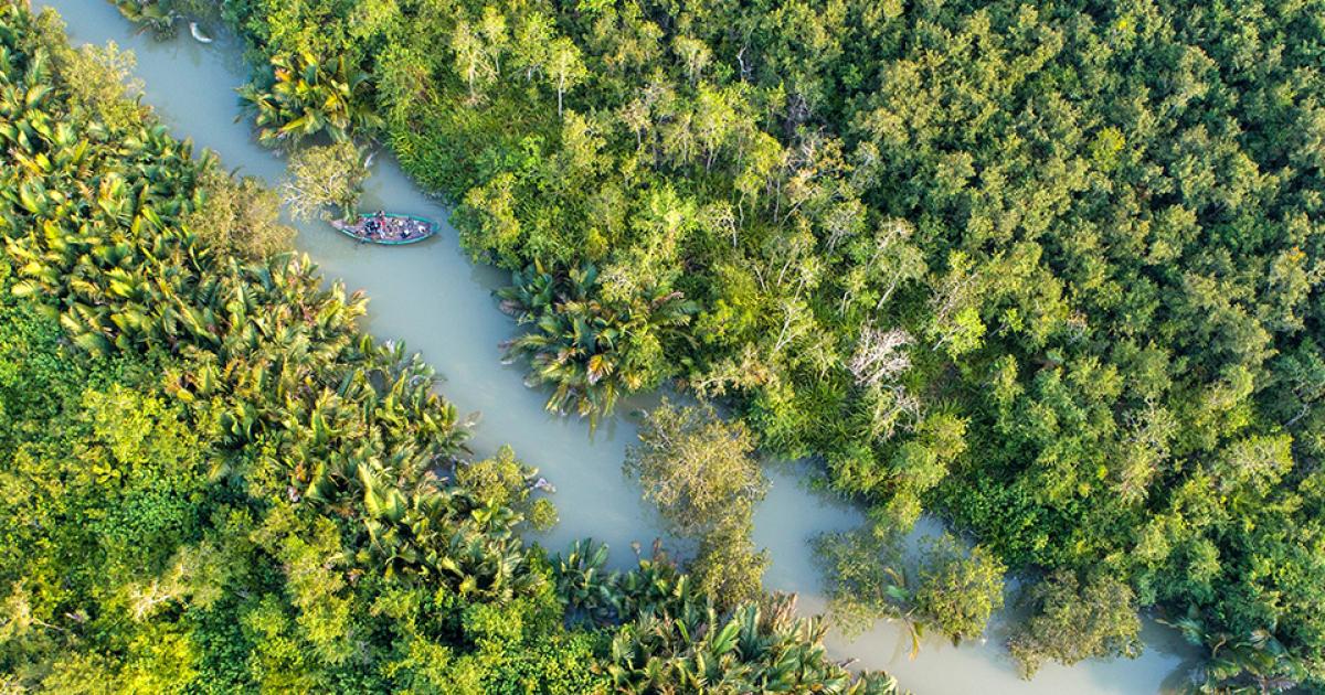 Current and projected hydrological trends in the Sundarbans mangrove ...