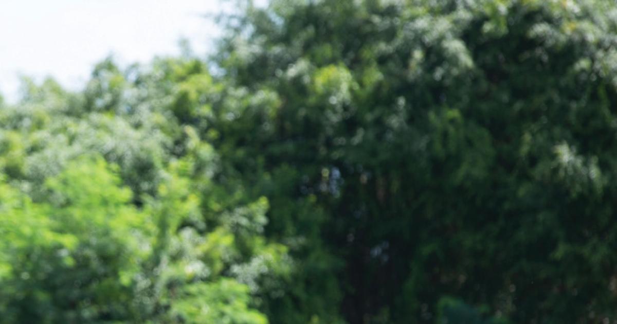 Increasing influence and impact | ACIAR