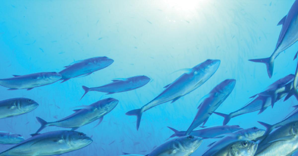 Pacific region program | ACIAR