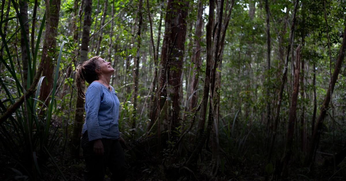 Climate change adaptation and mitigation | ACIAR