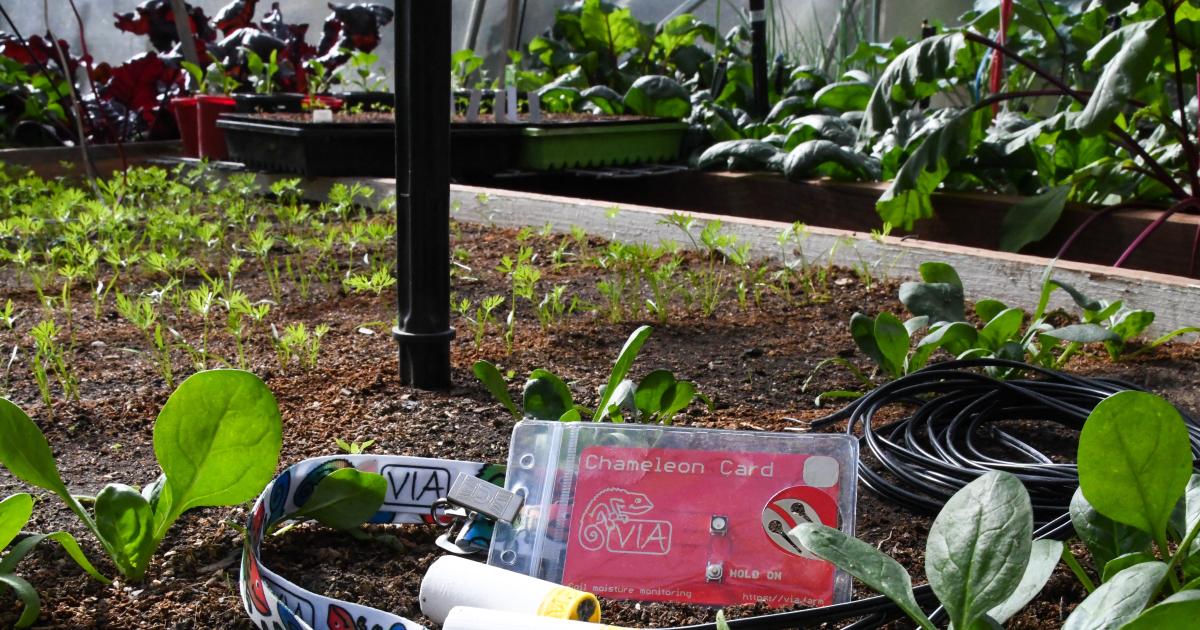Evidence and lessons from the Virtual Irrigation Academy for improving ...