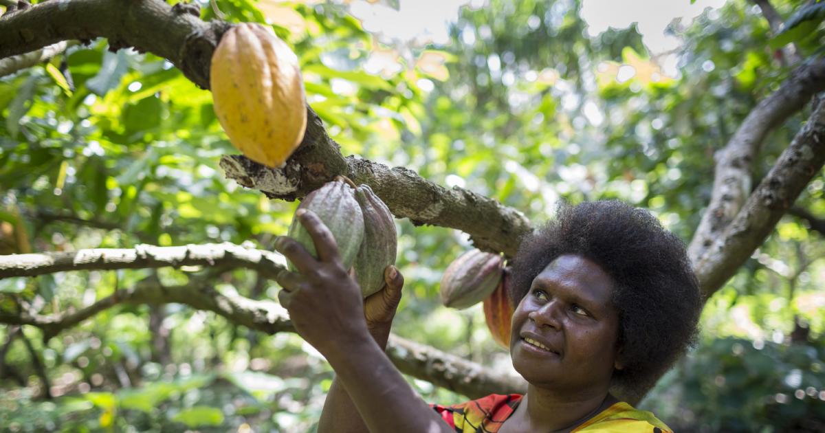 Aligning genetic resources, production and post-harvest systems to ...