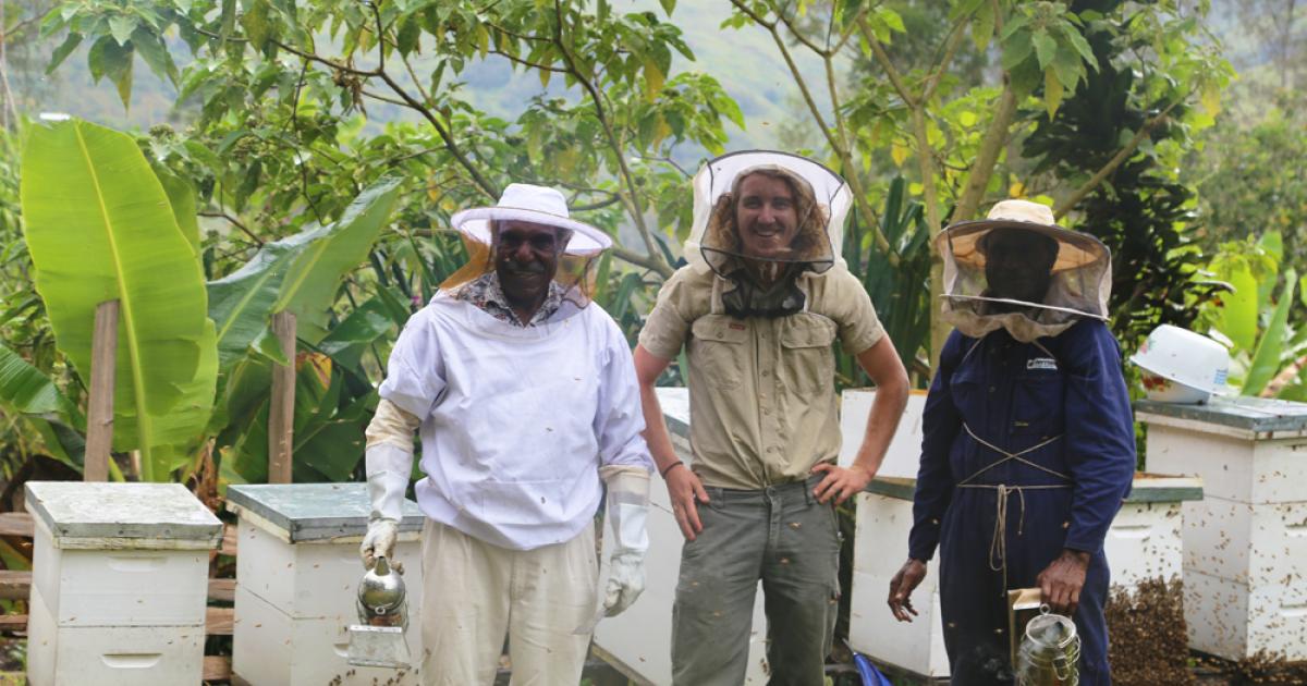 Strengthening beekeeping industries for improved production and ...