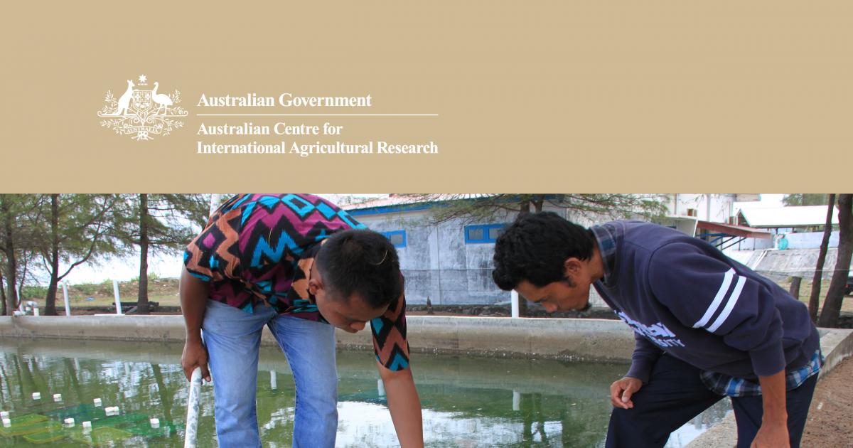 Impact assessment of ACIAR’s Aceh aquaculture rehabilitation projects | ACIAR