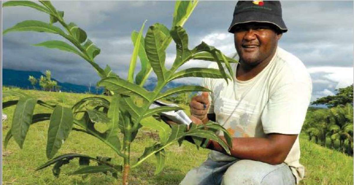 PARDI capacity building in the South Pacific | ACIAR