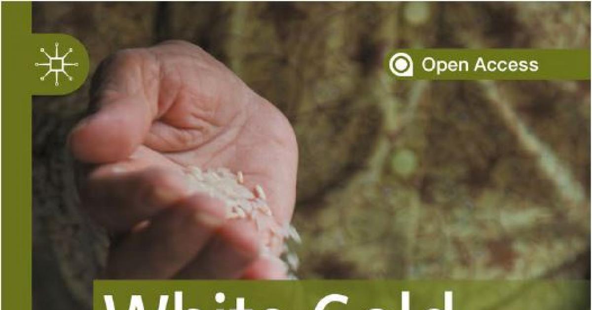 White Gold: The Commercialisation of Rice Farming in the Lower Mekong ...