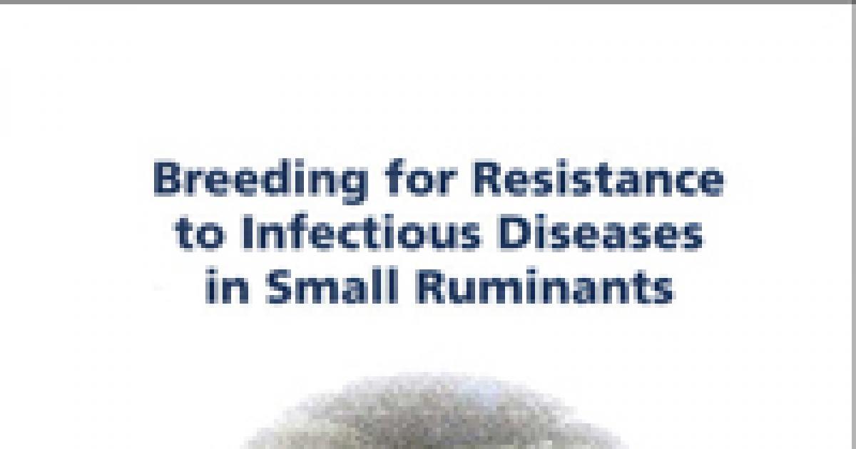 Breeding for resistance to infectious diseases in small ruminants | ACIAR