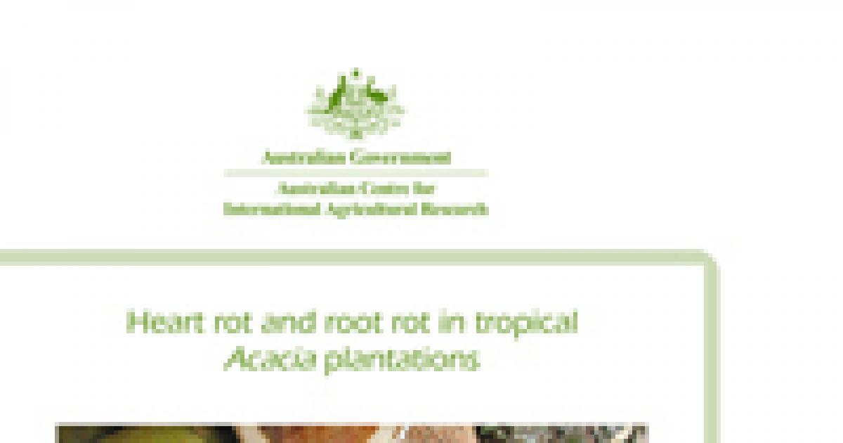 Heart rot and root rot in tropical Acacia plantations | ACIAR