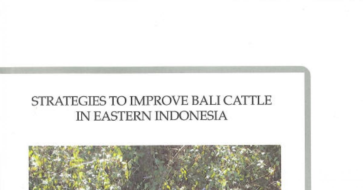 Strategies to improve Bali cattle in eastern Indonesia | ACIAR