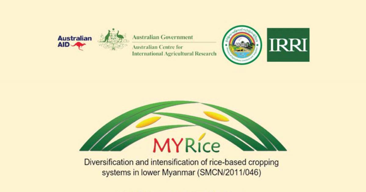 Guidelines for Production and Management of Rice in Rice-Rice Systems ...