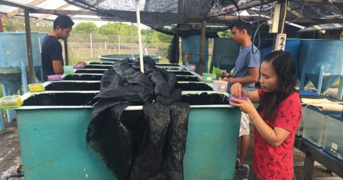 Accelerating the development of finfish mariculture in Cambodia through ...